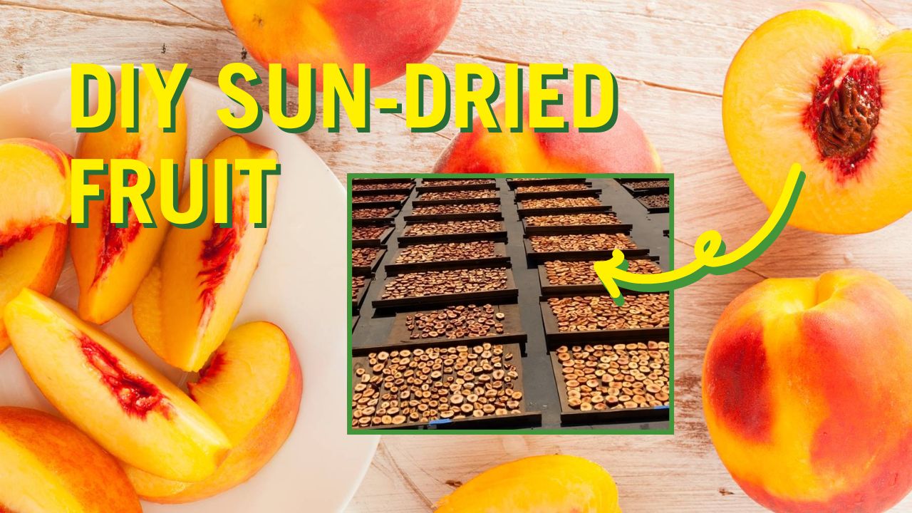 How to Sun Dry Fruit in Bulk – Videos – Mother Earth News